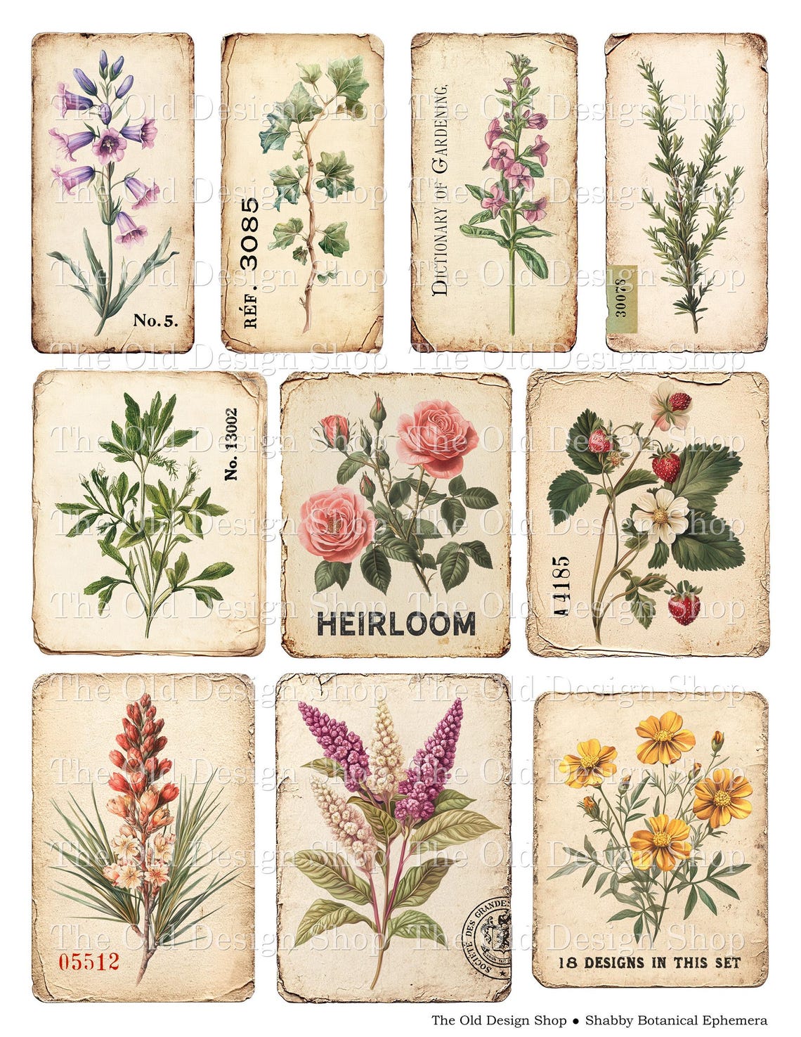 Shabby Botanical Ephemera Printable Ephemera Kit for Junk Journals ...