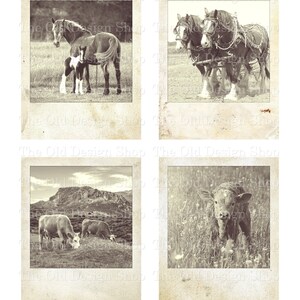 Printable Farm Pictures Shabby Photos Aged and Worn Vintage Polaroid ...