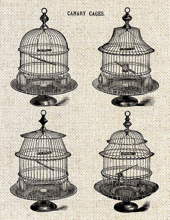 Vintage Birdcage Clipart