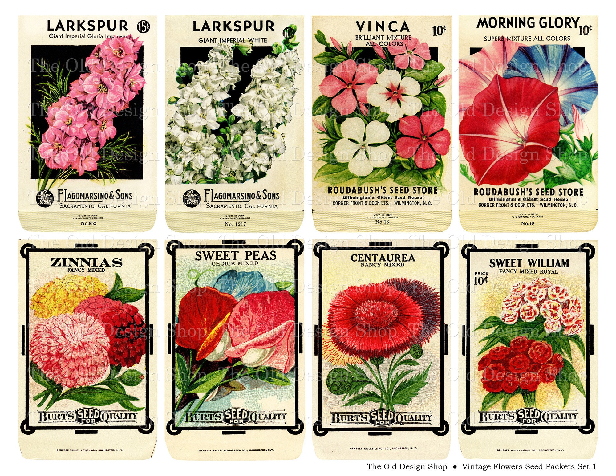 Vintage Flower Seed Packets Set 1 Printable JPG Digital - Etsy