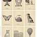 Printable Flashcards for Junk Journal Cardmaking Supply Neutral ...