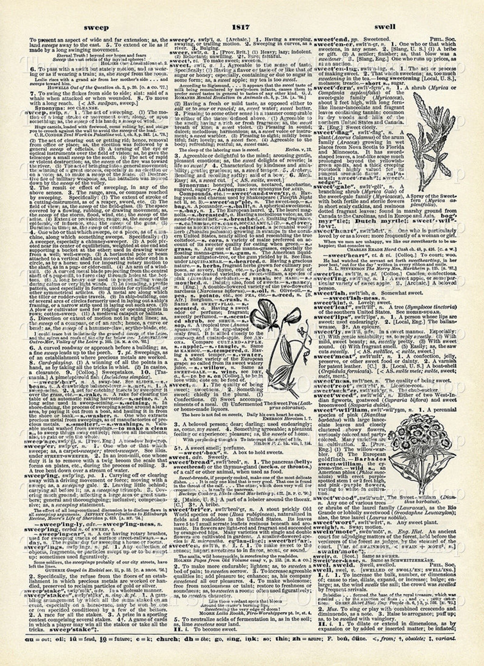 Printable Dictionary Page Sweep Sweepstakes Sweet Sweetheart Old Book ...