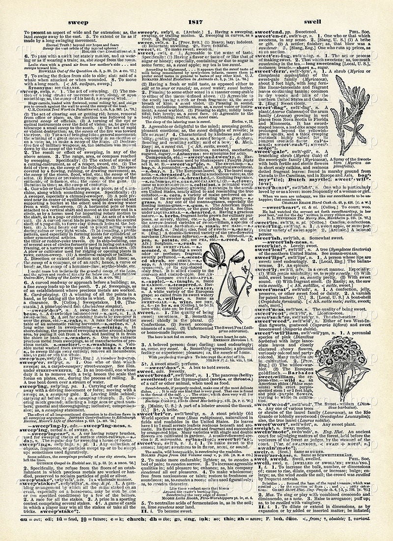 Printable Dictionary Page Sweep Sweepstakes Sweet Sweetheart | Etsy