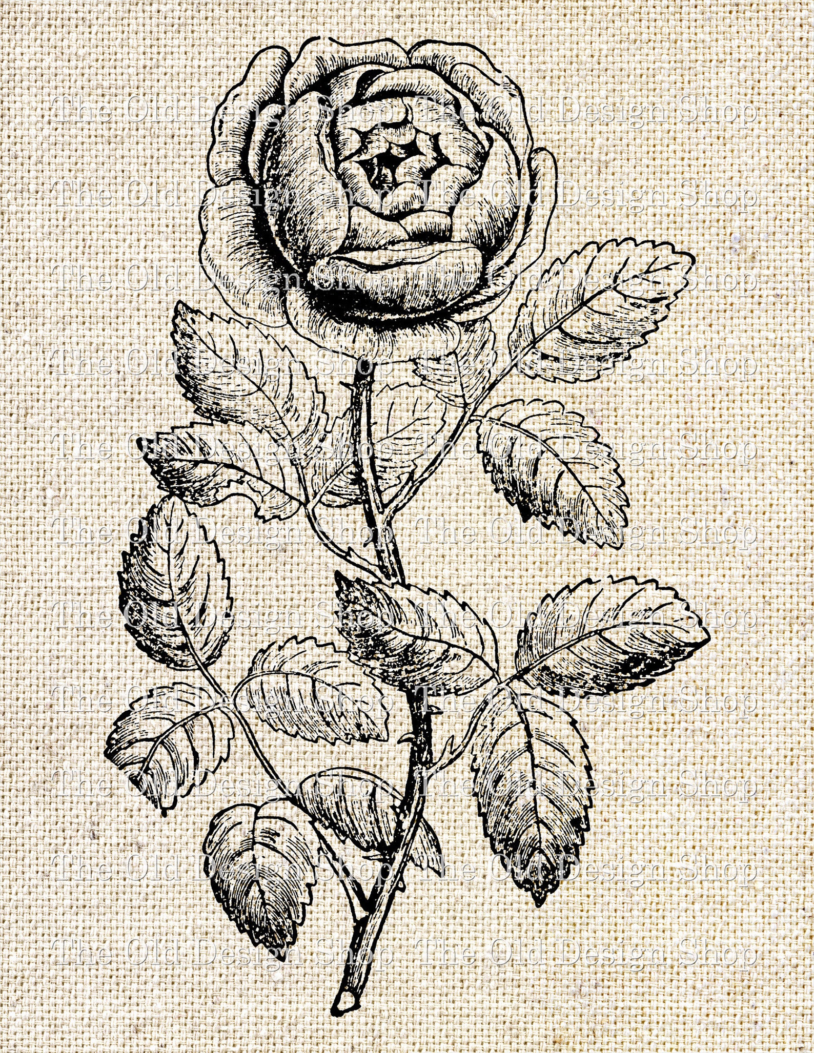 Tea Rose Clipart for Cardmaking Junk Journals Ink Saver Vintage Flower ...