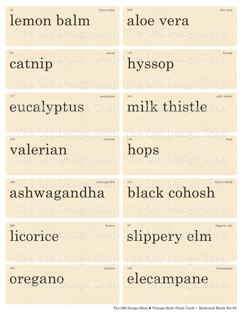 Medicinal Herbs Theme Flashcards Set No. 2 Printable Medicinal - Etsy