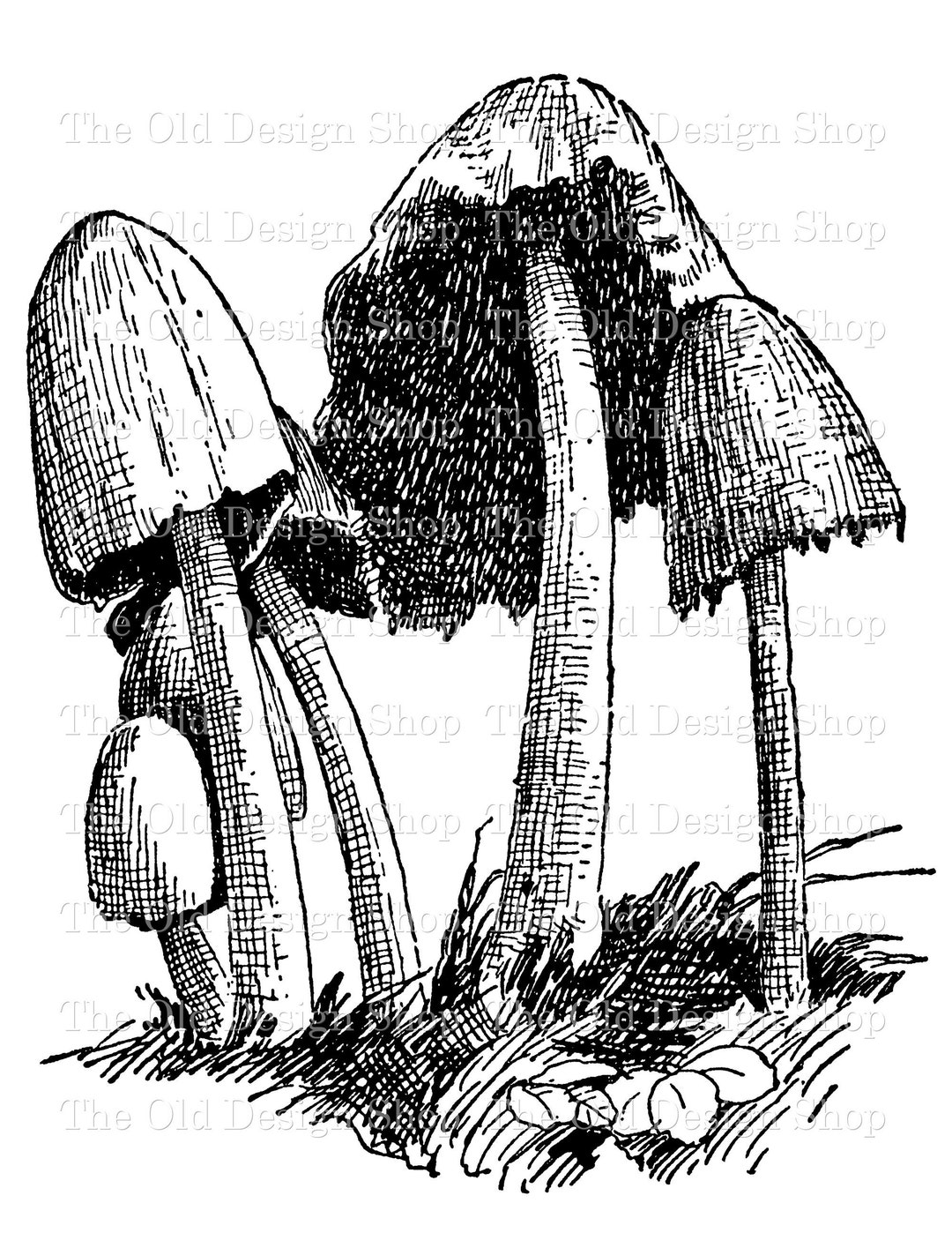 Inky Cap Mushroom Clipart for Cardmaking Junk Journals Ink Saver ...