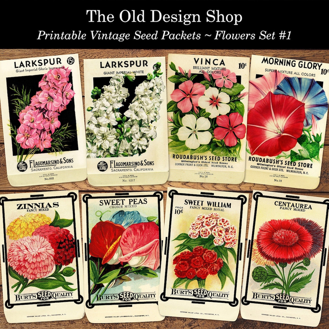 Vintage Flower Seed Packets Set 1 Commercial Use Printable JPG Digital ...