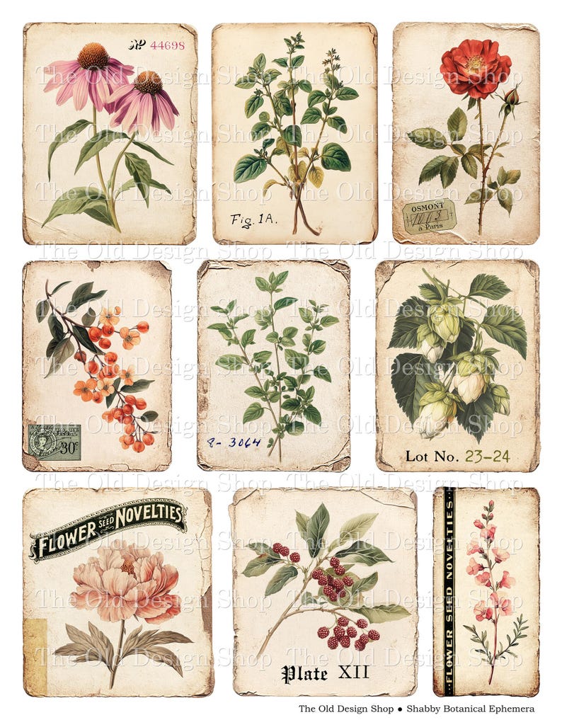 Shabby Botanical Ephemera Printable Ephemera Kit for Junk Journals ...