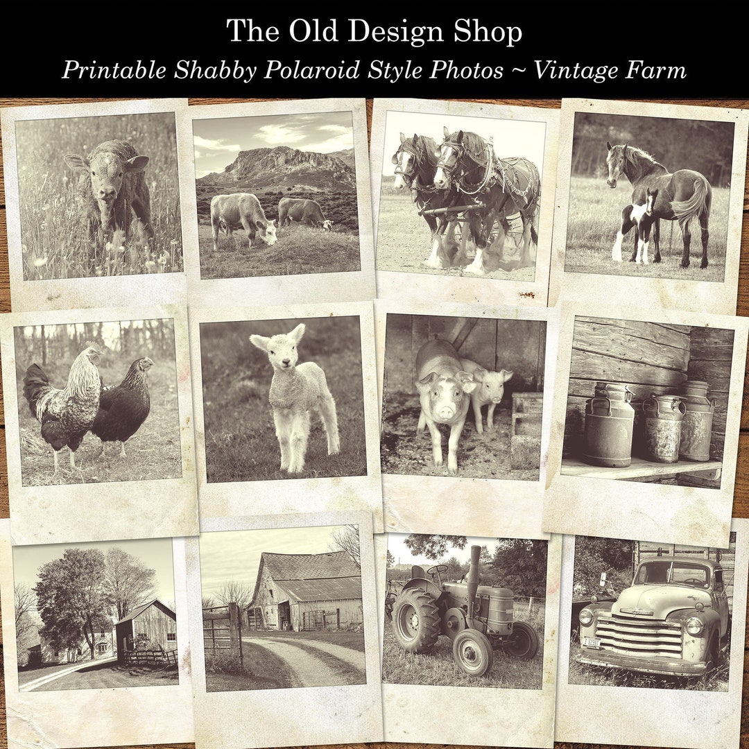 Printable Farm Pictures Shabby Photos Aged and Worn Vintage Polaroid ...