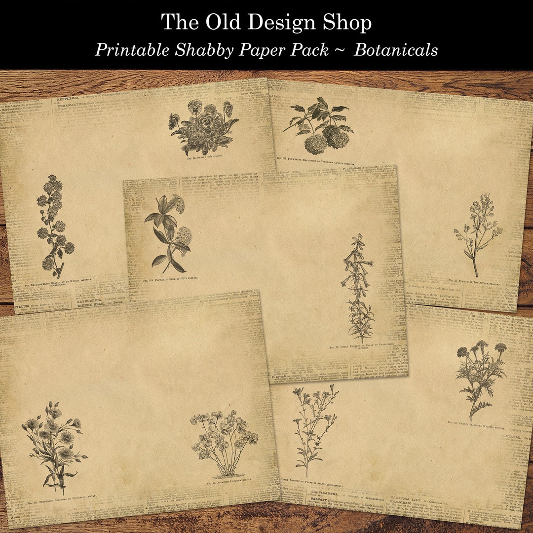 Printable Shabby Botanical Paper Pack PLUS Bonus Matching Plain and ...