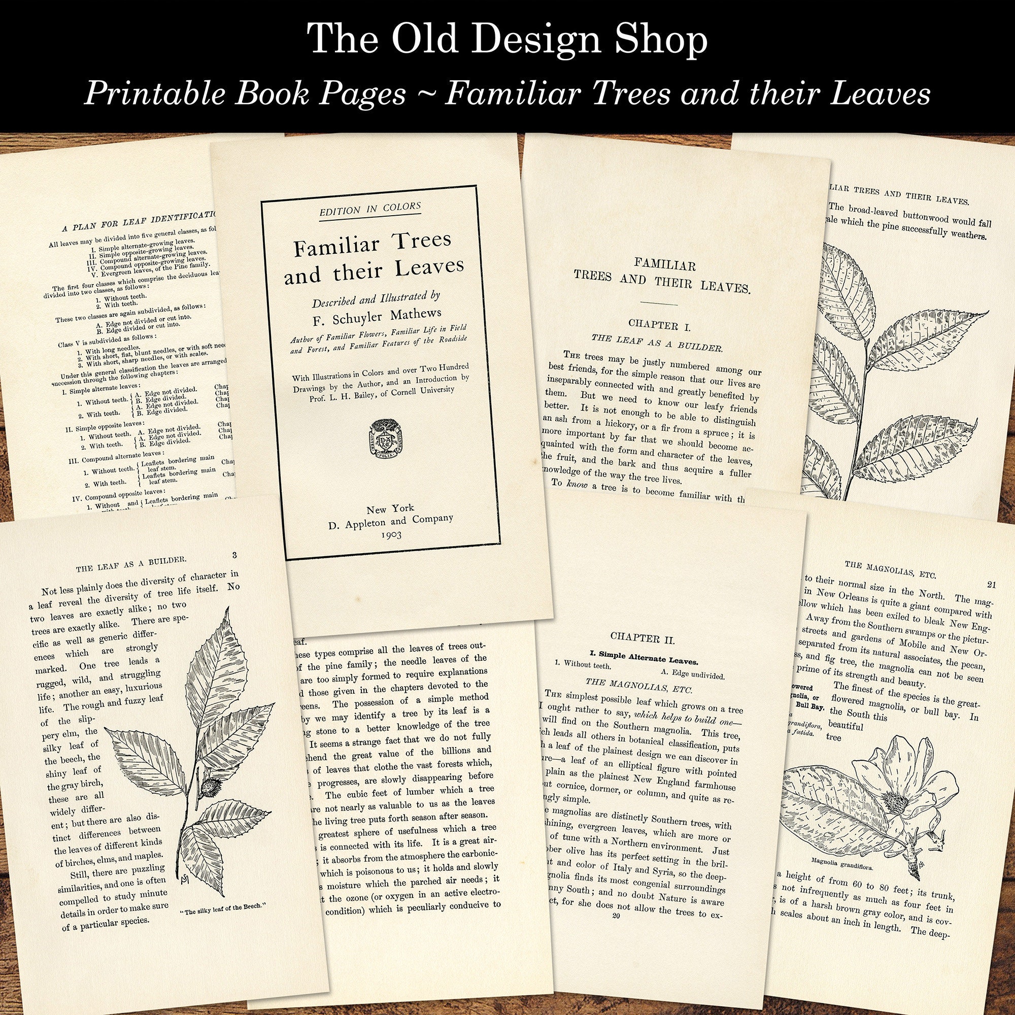 Printable Tree Trees Old Book Pages for Junk Journals Cardmaking Supply ...