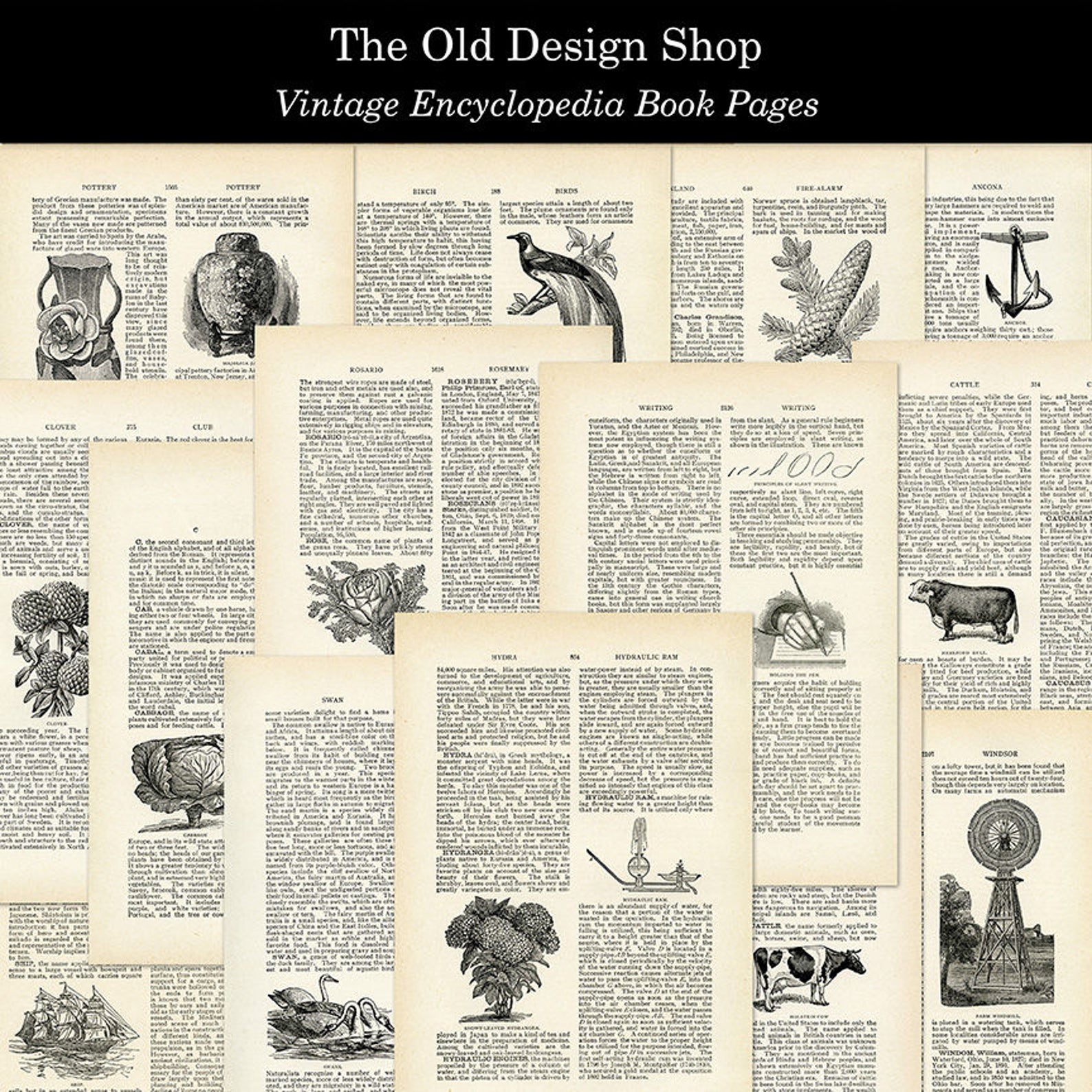 14 Vintage Encyclopedia Book Pages Digital Download JPG Format - Etsy ...