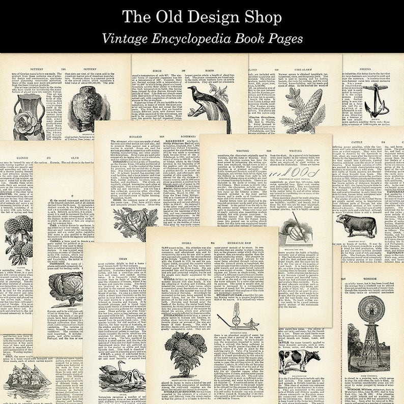 14 Vintage Encyclopedia Book Pages Digital Download JPG Format - Etsy