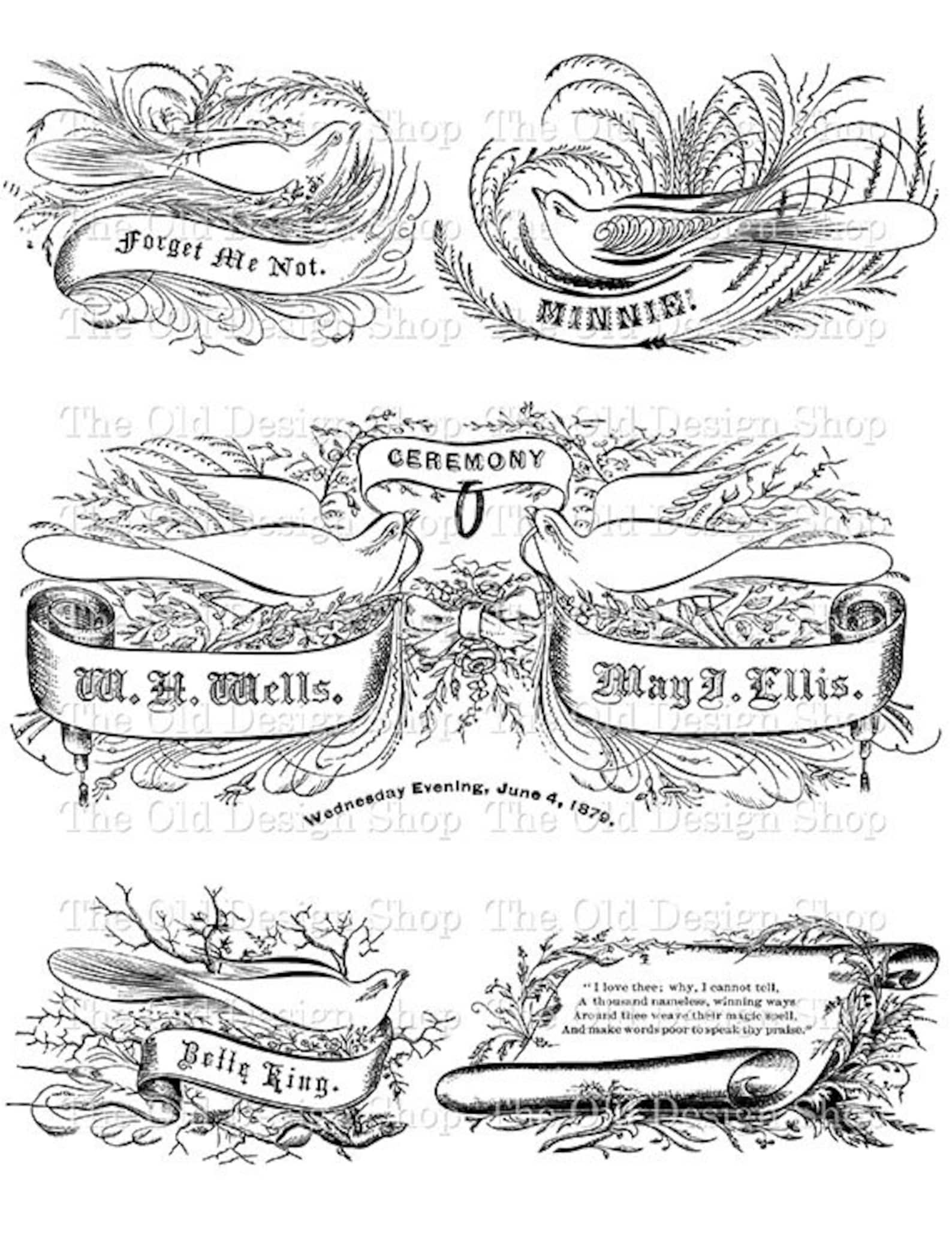 Penmanship Clip Art Flourishes Ornamental Swirl Set 1 - Etsy