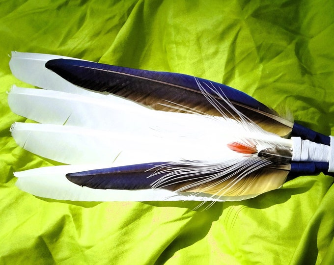 Angelic Smudge Fan, Peacock and Macaw, Lapis Lazuli Double Point for ...