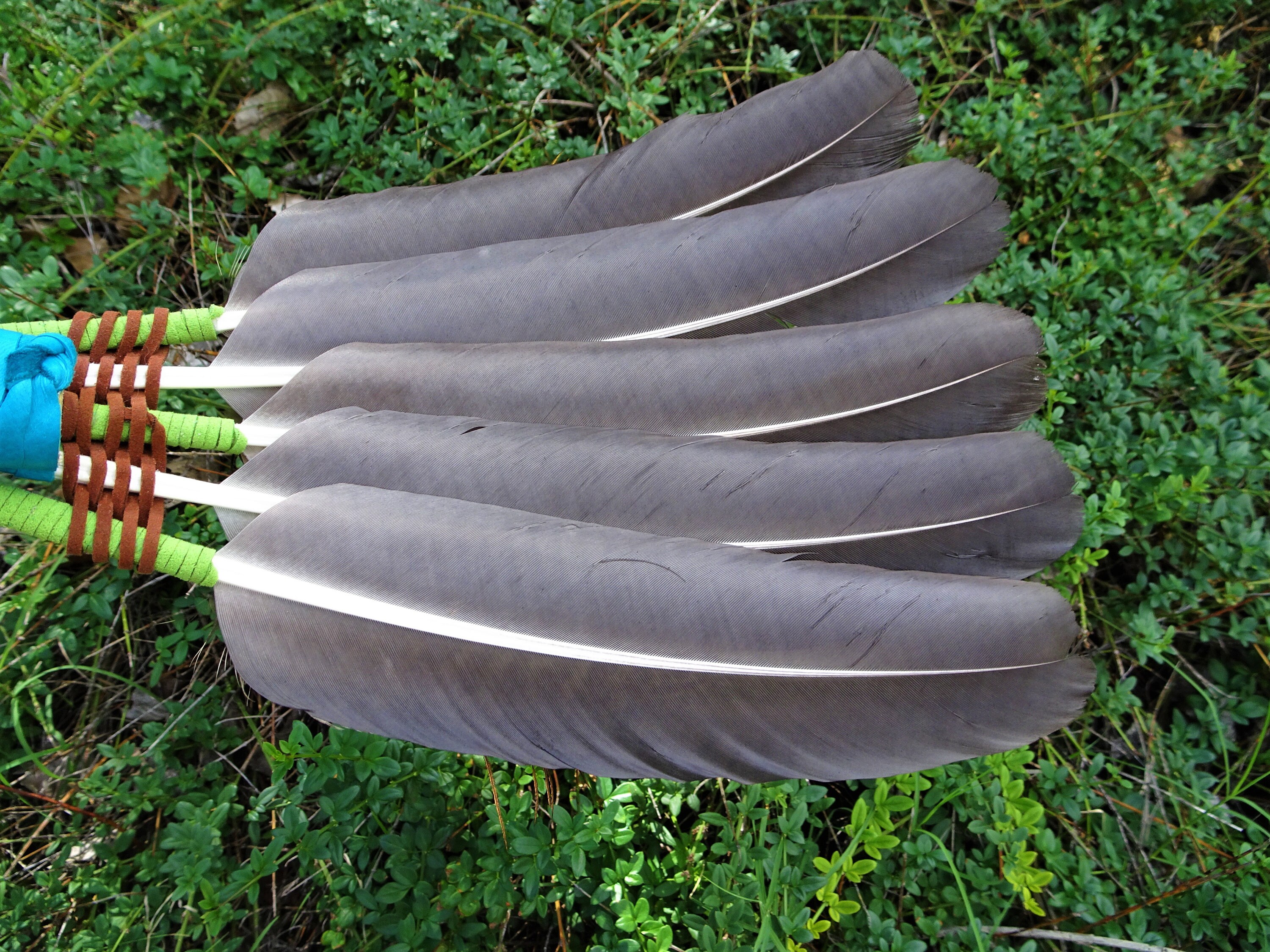 Peacock and Deer Medicine Shaman's Tool, Amazonite Stone, Healer's Tool ...