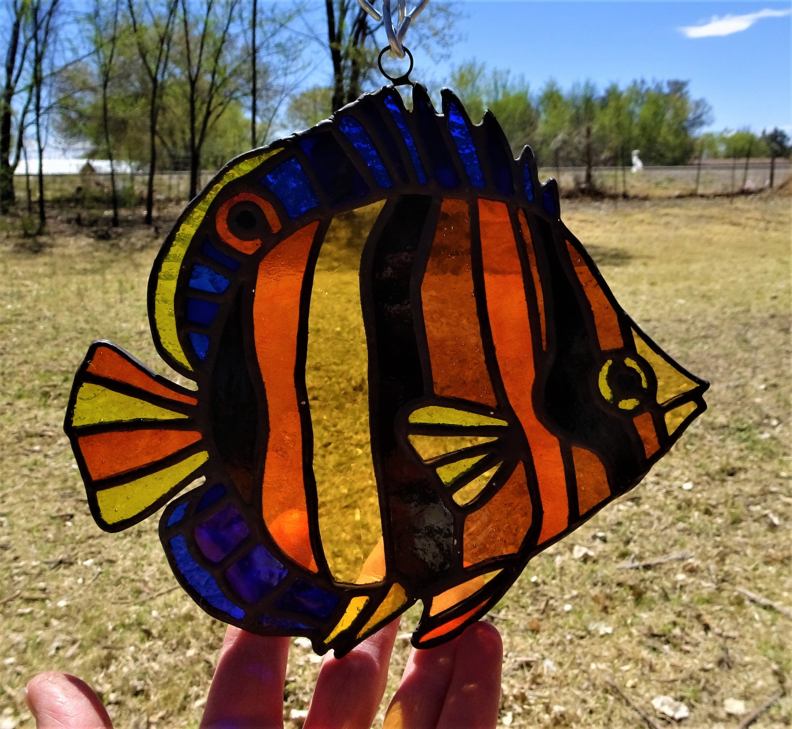 Happy Tropical Fish, Pretty Cool Little Stained Glass Suncatcher, 7 by ...
