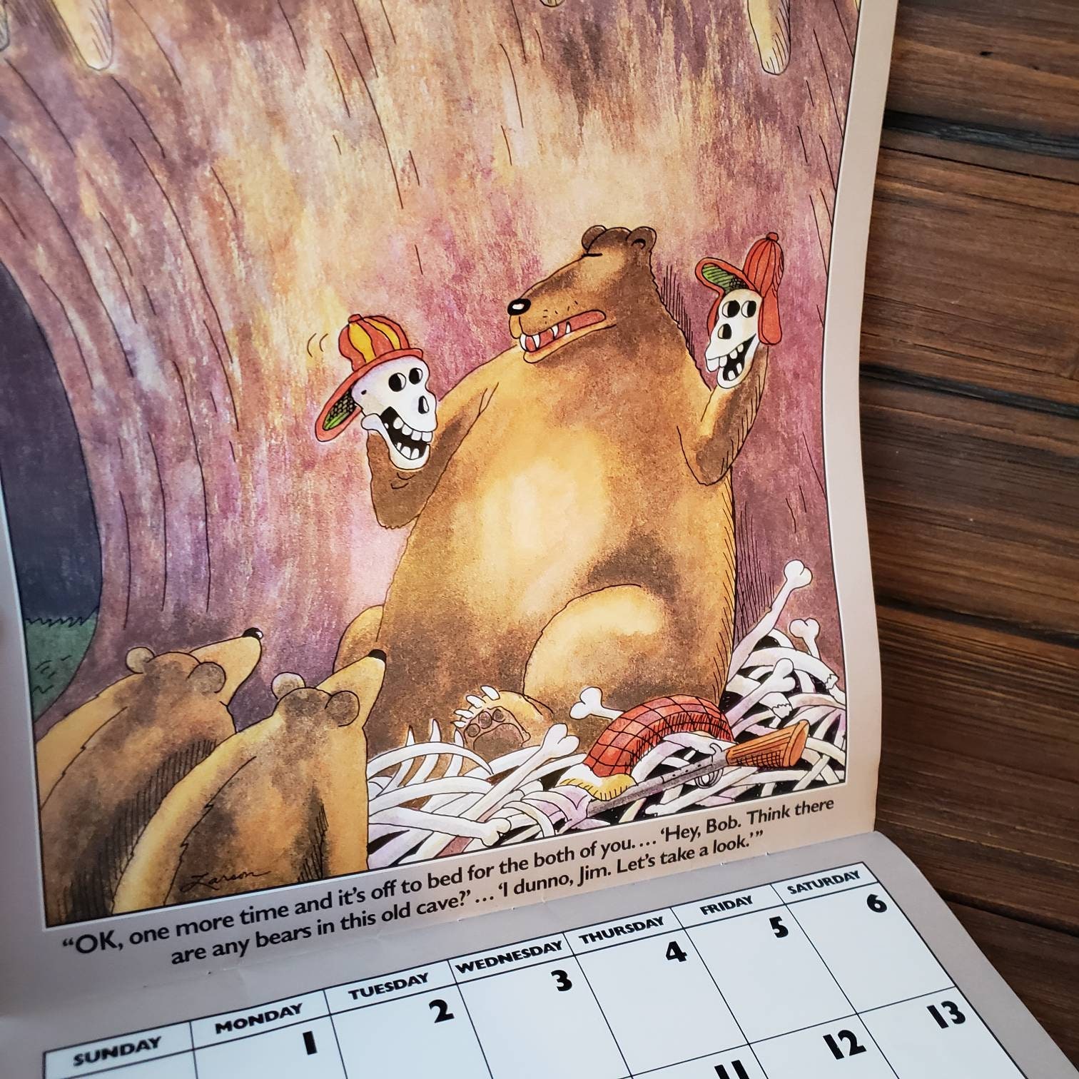 The Far Side 1990-1991 16 Month Wall Calendar by Gary Larson. ISBN: 0 ...