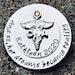 CNA Nursing Pin,nurse Pin,certified Nursing Nurse Assistant ,CNA ...