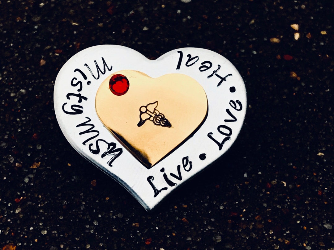 MSN Pins for Nurse Graduation - Nursing Student Gift -MSN Nurse Pins ...