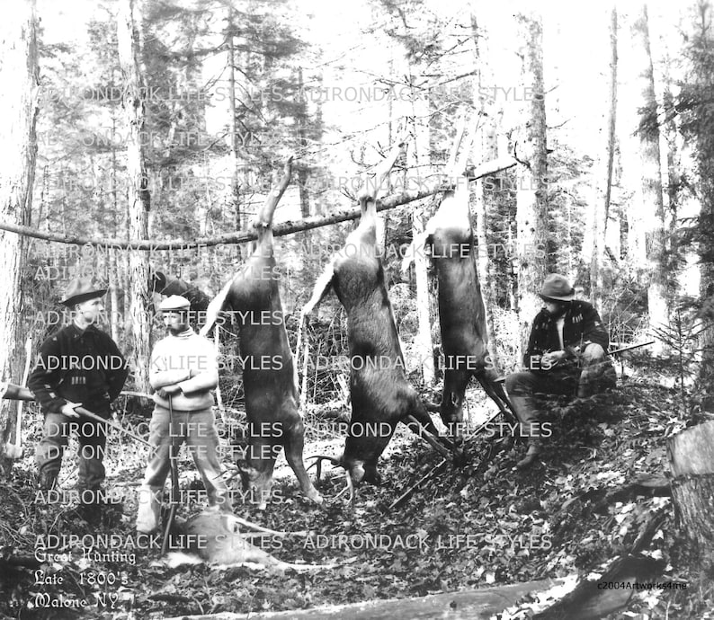 Adirondack Hunting Scenes From Mt. View /lake Titus From 1800's,5 ...
