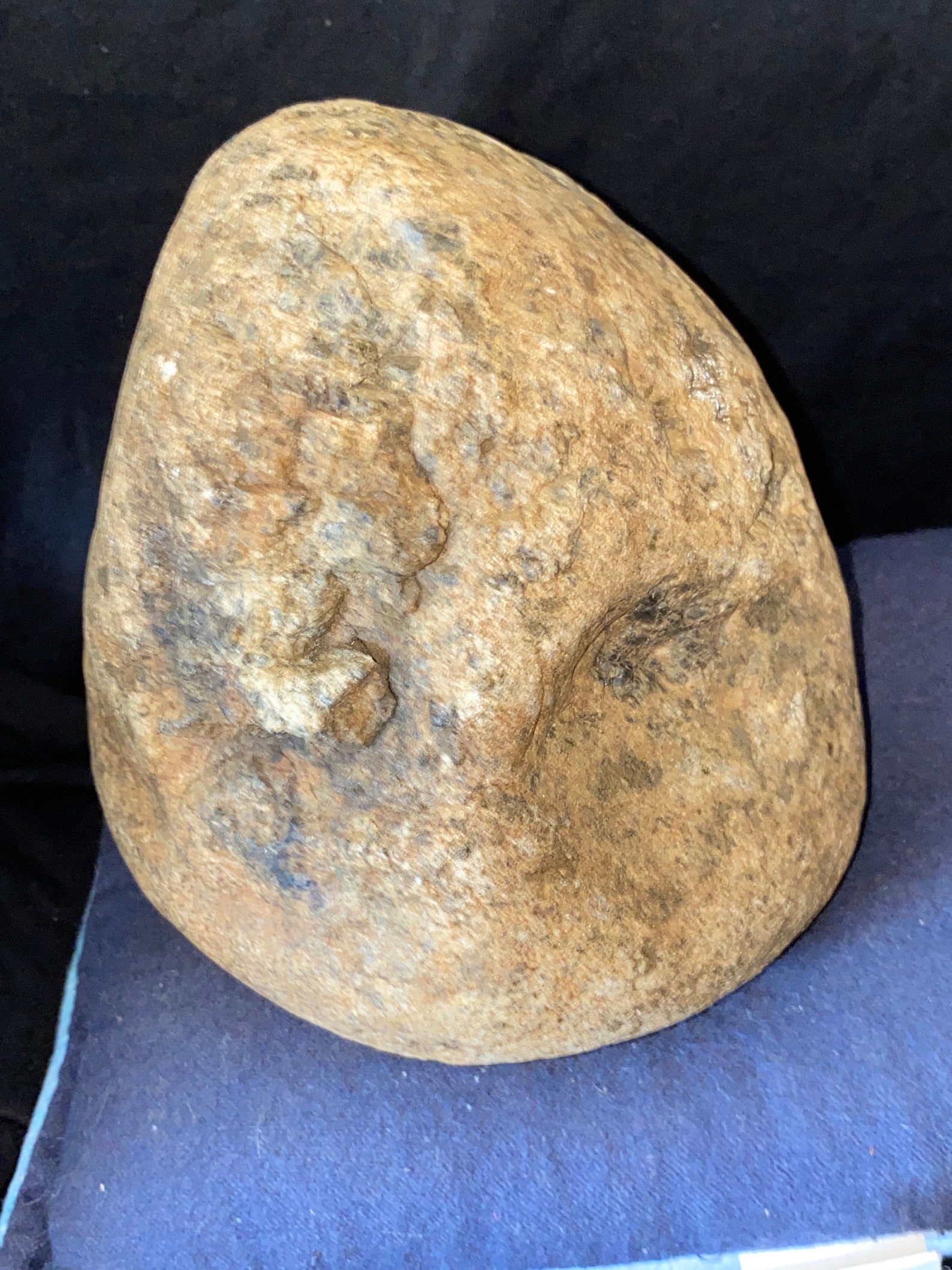 Paleolithic Polymorphic Humaniod Head W/microlithic Ancient - Etsy