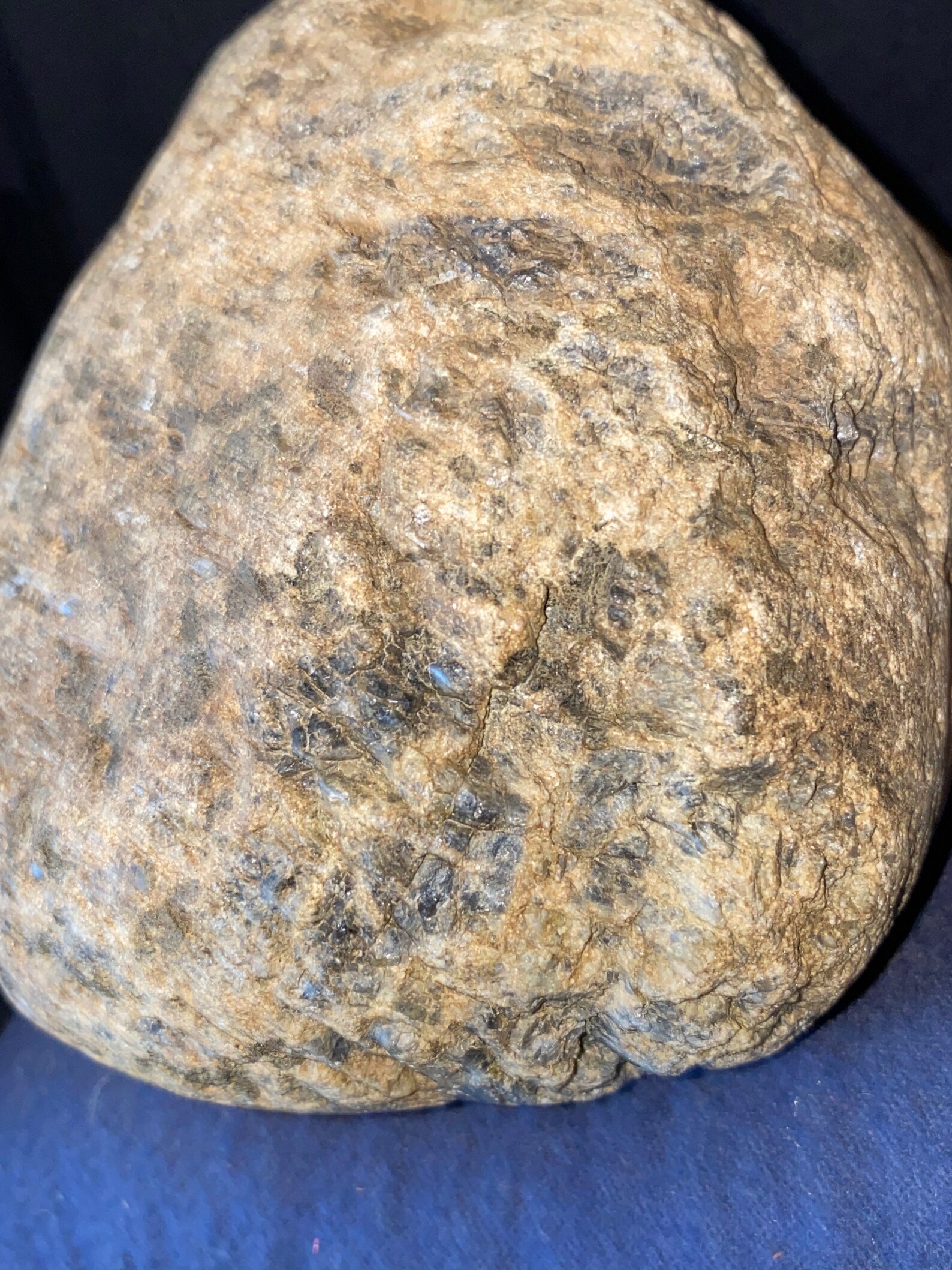 Paleolithic Polymorphic Humaniod Head W/microlithic Ancient - Etsy