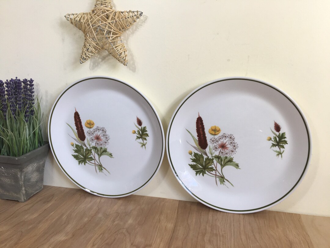 Cattail & Dandelion Brookside Dinner Plates Set of 2 - Etsy