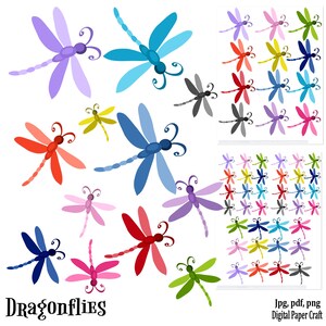 Dragonfly Clipart Dragonflies Clipart Instant Download | Etsy