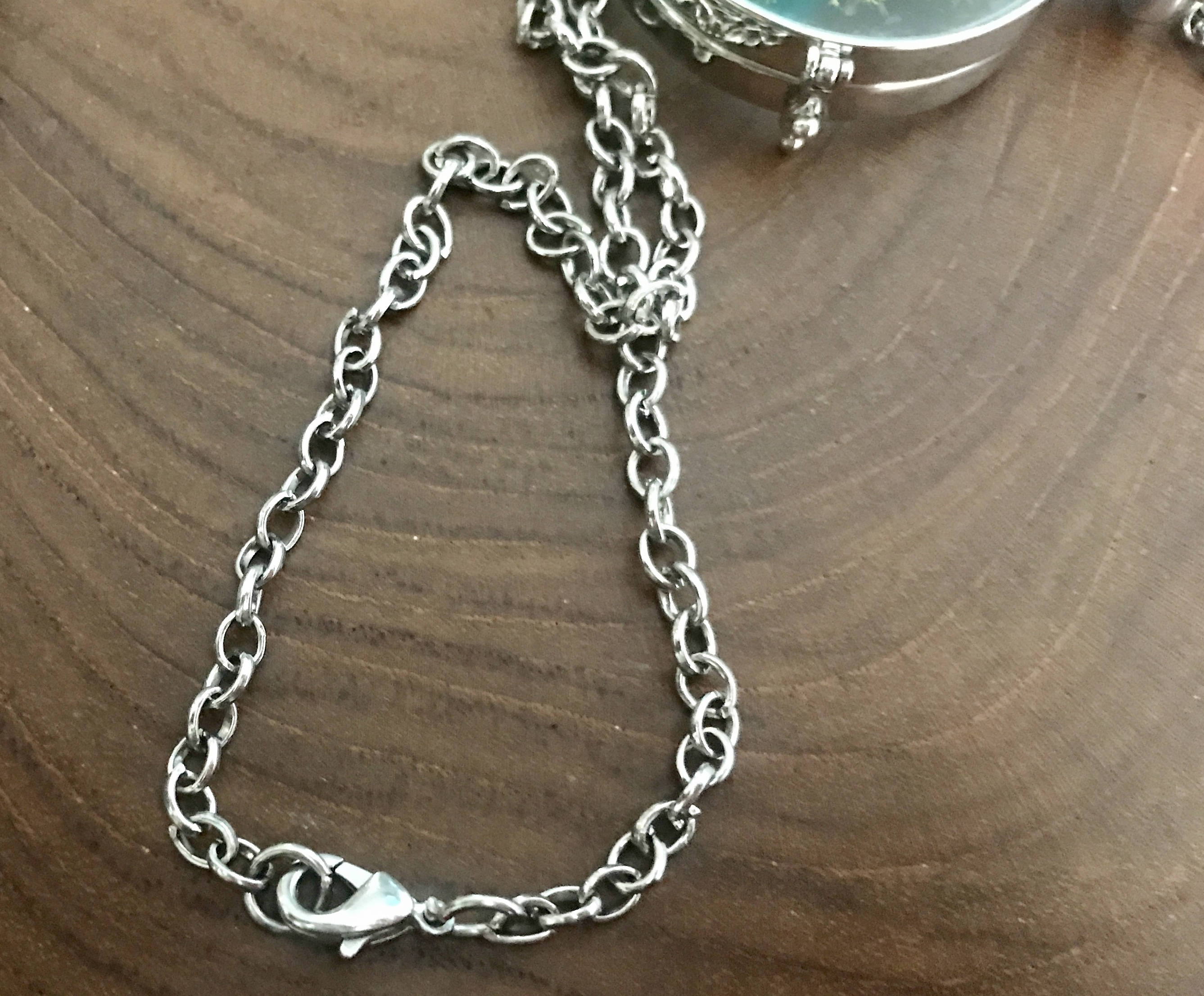 Moss Locket Necklace With Reindeer Moss on Silver Chain Real Botanical ...