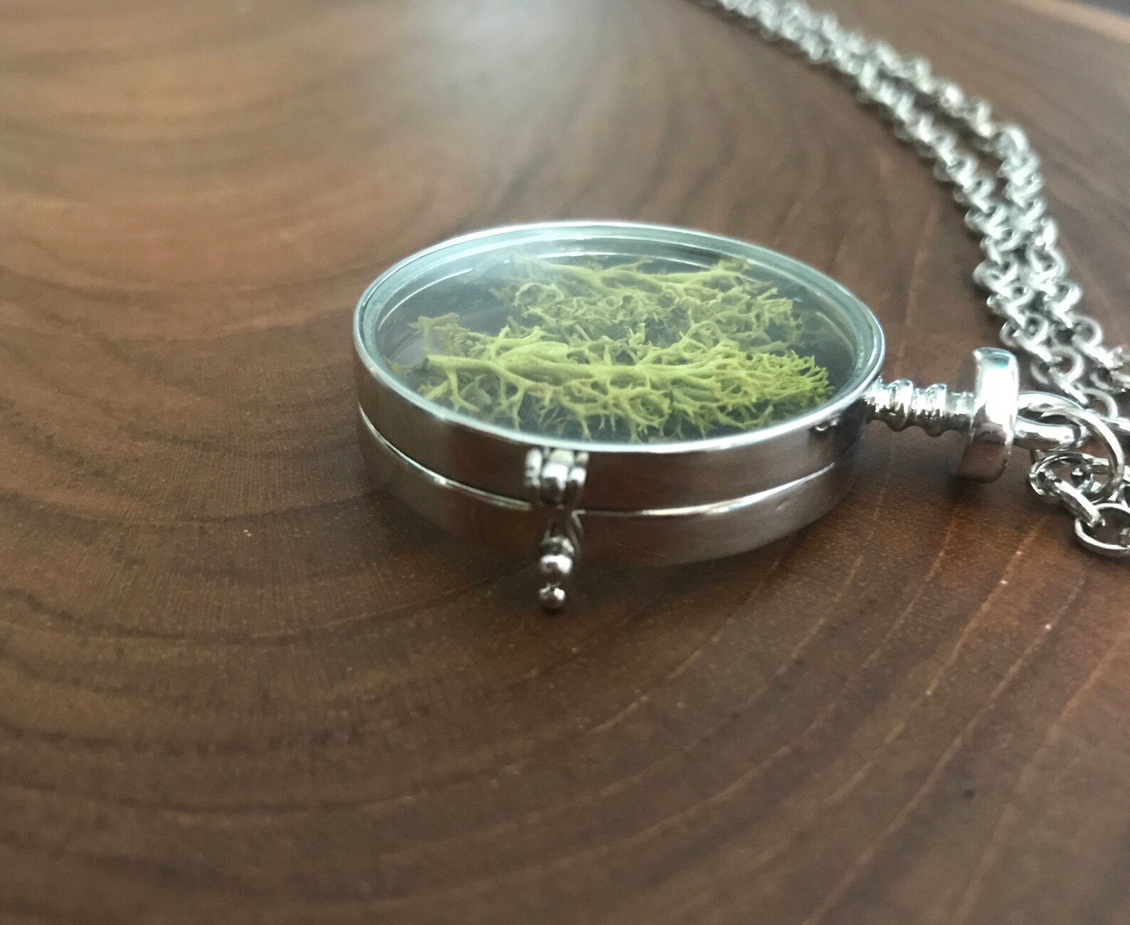 Moss Locket Necklace With Reindeer Moss on Silver Chain Real Botanical ...