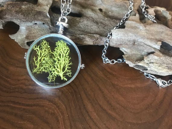 Moss Locket Necklace With Reindeer Moss on Silver Chain Real - Etsy