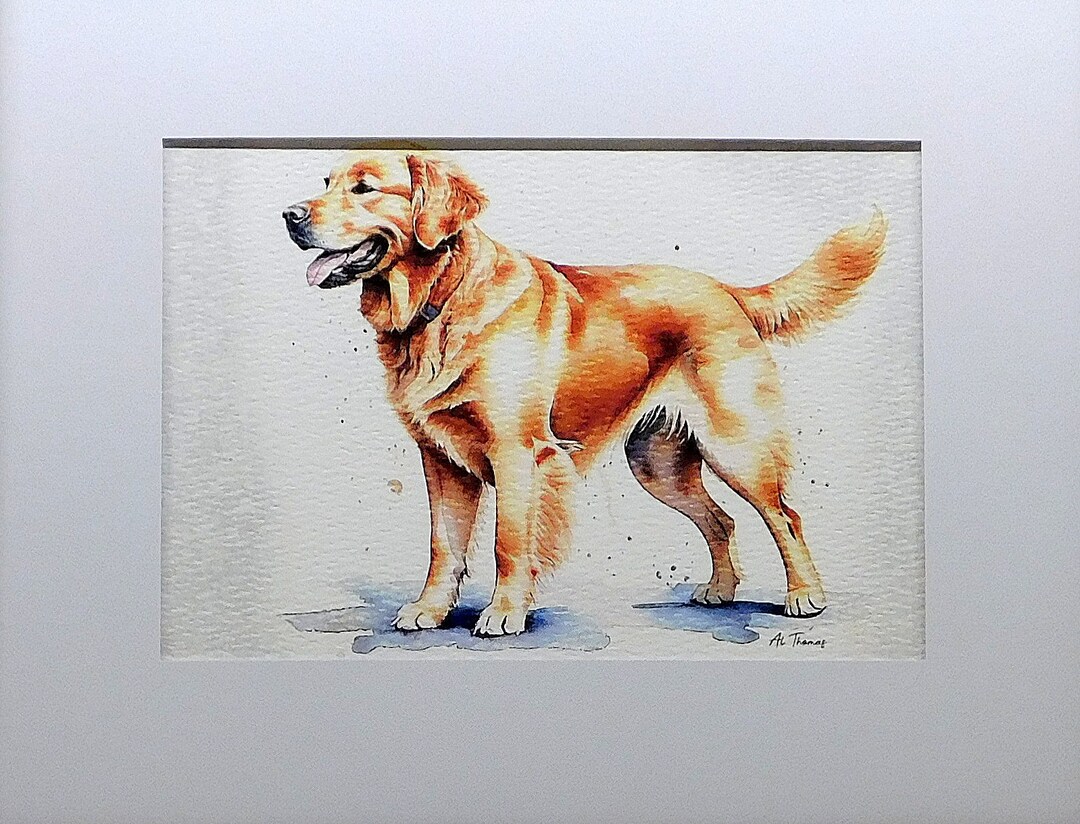 Matted Golden Lab Watercolor Painting Print | Animal | Illustration ...