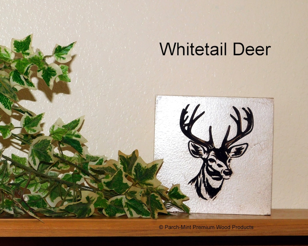Oh Deer, It’s Rustic Perfection! - Vintage Look Whitetail Deer ENGRAVED ...