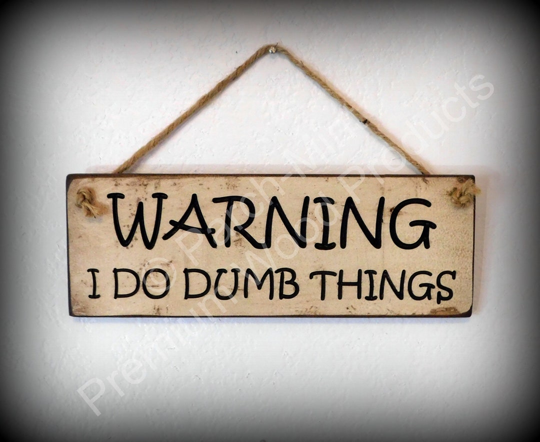 Warning I Do Dumb Things ENGRAVED Vintage Look Sign 3.5 X 10 Antique ...