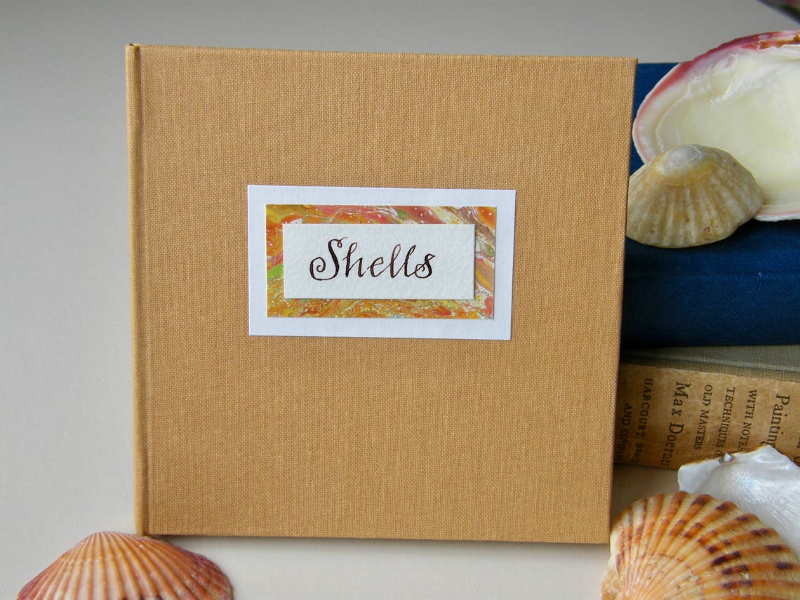 Shells a Limited Edition Handmade Pop-up Artists's Book - Etsy