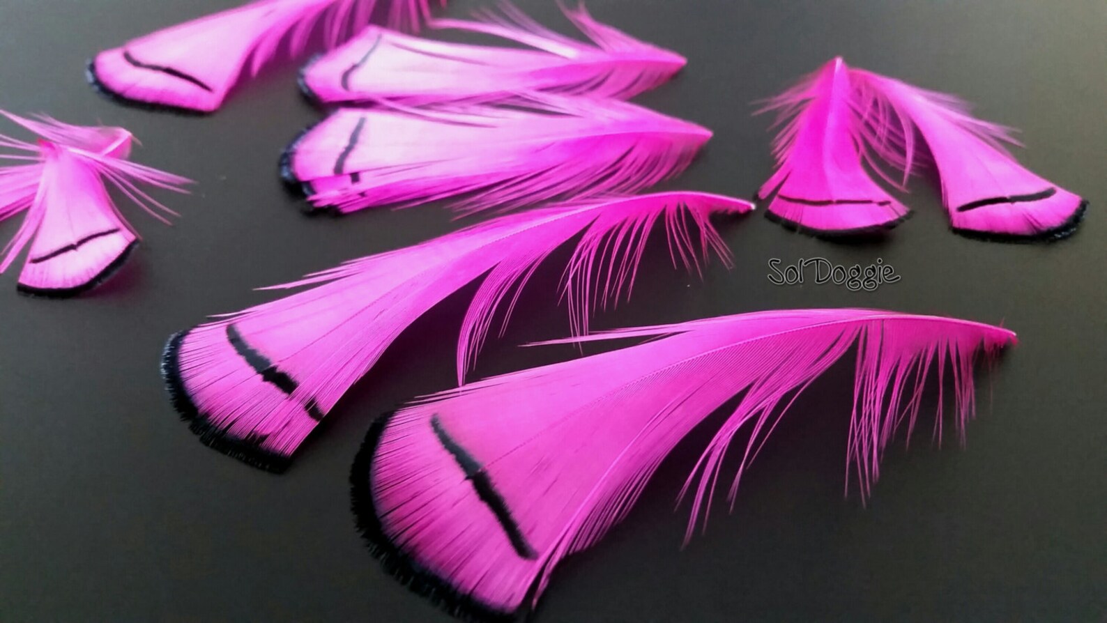 Bright Pink Feathers Small Feathers Supplies for Crafts | Etsy