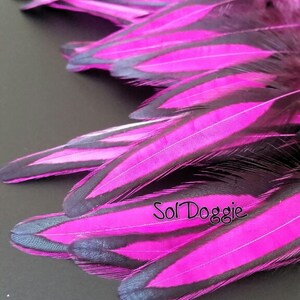 Bright Pink Feather Craft Supplies Pink Magenta Feathers for Crafts ...