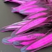 Bright Pink Feather Craft Supplies Pink Magenta Feathers for Crafts ...