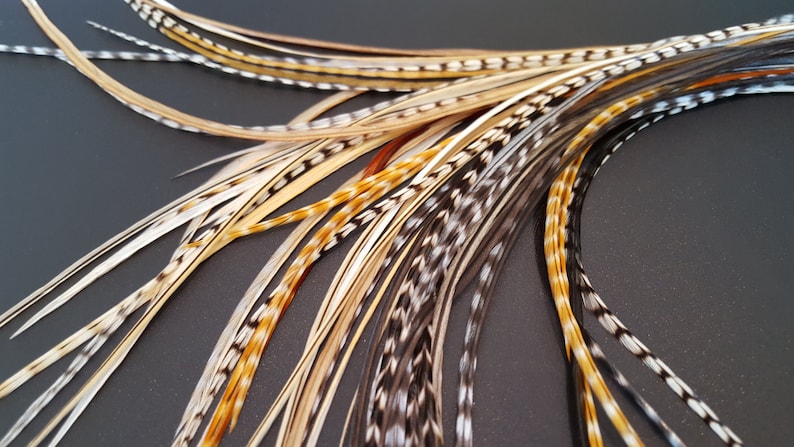 Mixed Natural Feather Extensions Real Hair Feathers Feather - Etsy