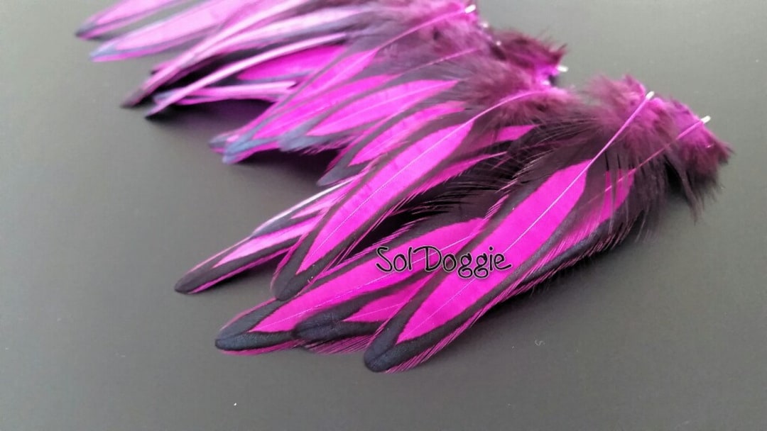 Bright Pink Feather Craft Supplies Pink Magenta Feathers for Crafts ...