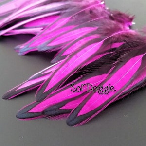 Bright Pink Feather Craft Supplies Pink Magenta Feathers for Crafts ...