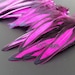 Bright Pink Feather Craft Supplies Pink Magenta Feathers for Crafts ...