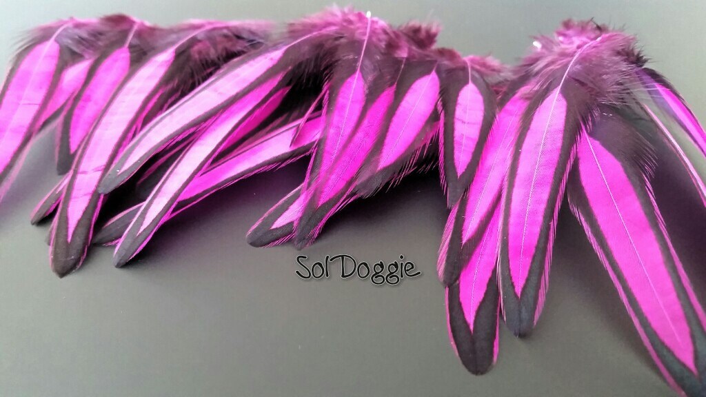 Bright Pink Feather Craft Supplies Pink Magenta Feathers for | Etsy
