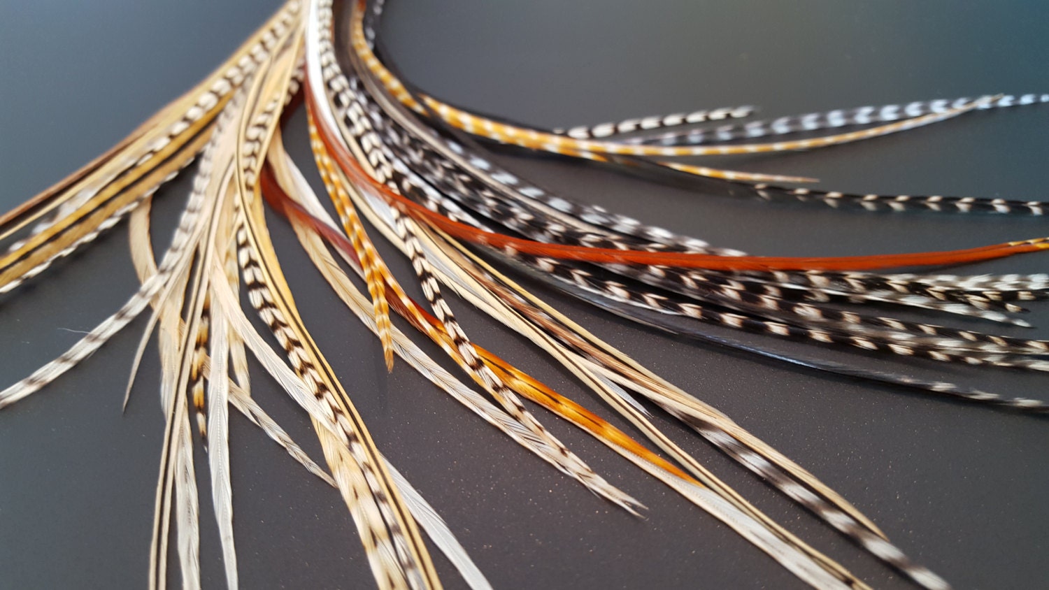 Mixed Natural Feather Extensions Real Hair Feathers Feather - Etsy