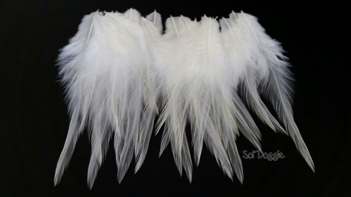 White Feathers Hair Supplies White Craft Feathers Bridal Accessories ...