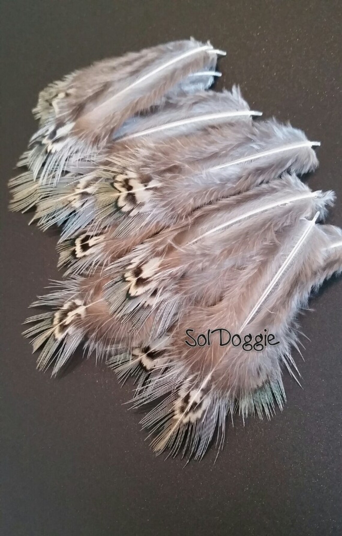 Small Feathers Craft Supplies Pheasant Feathers Blue Green | Etsy