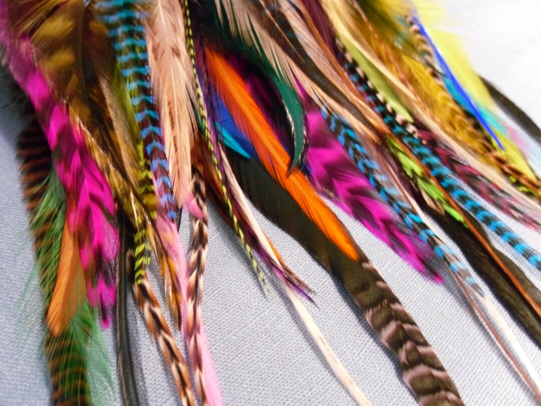 Bulk Rooster Feathers Colourful Craft Feathers Salon Supplies Mixed ...