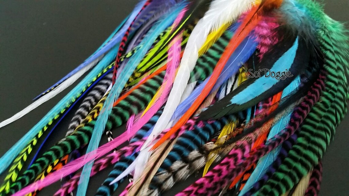Bulk Rooster Feathers Colourful Craft Feathers Salon Supplies Mixed ...