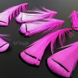 Bright Pink Feathers Small Feathers Supplies for Crafts Millinery ...